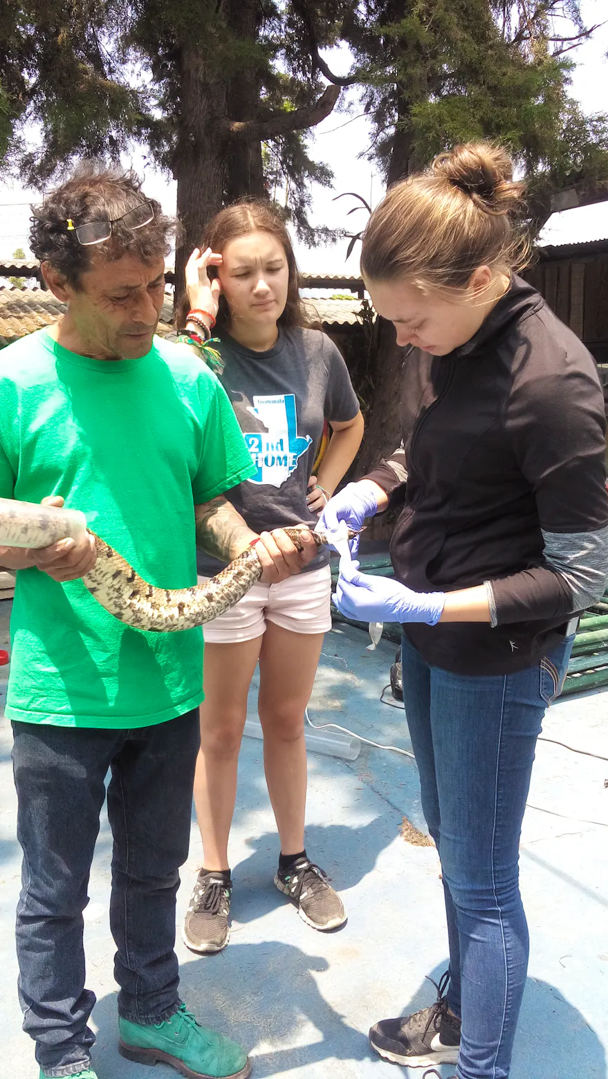Exotic Animal Rescue Center Helper | Volunteer in Guatemala 2025