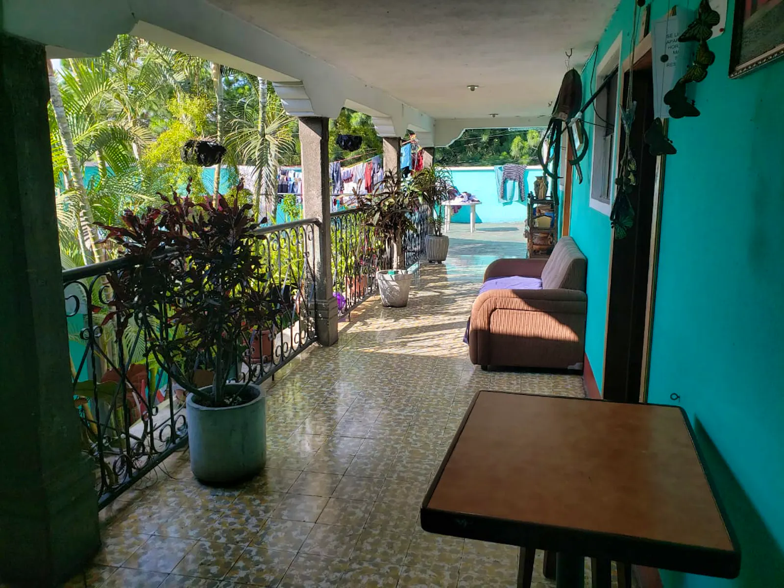 Exotic Animal Rescue Center Helper | Volunteer in Guatemala 2024