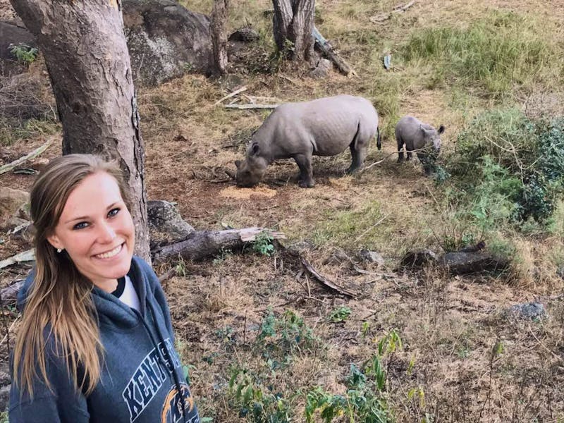 Horse Riding & Wildlife Conservation | Volunteer in Zimbabwe 2025