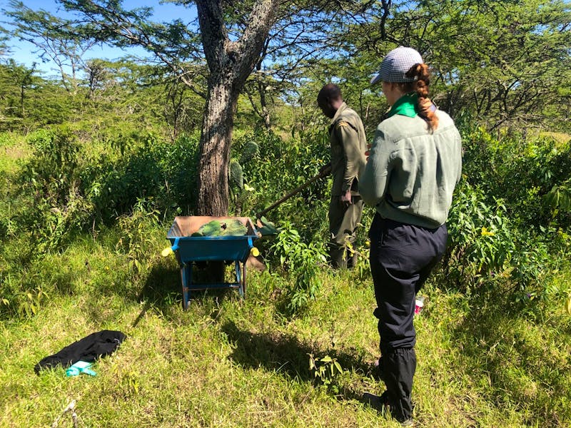 Environmental and Climate Change Conservation | Volunteer in Kenya 2025