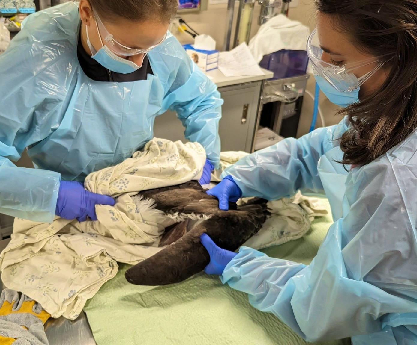 Mission humanitaire au Canada | Bénévolat & Volontariat 2025 ...