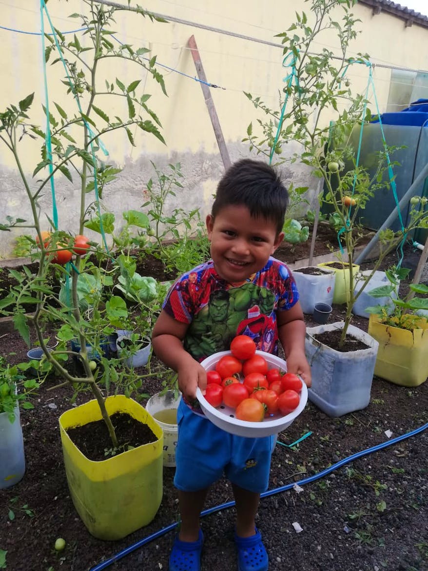 Sustainable Farming & Urban Agriculture | Volunteer in Ecuador 2025
