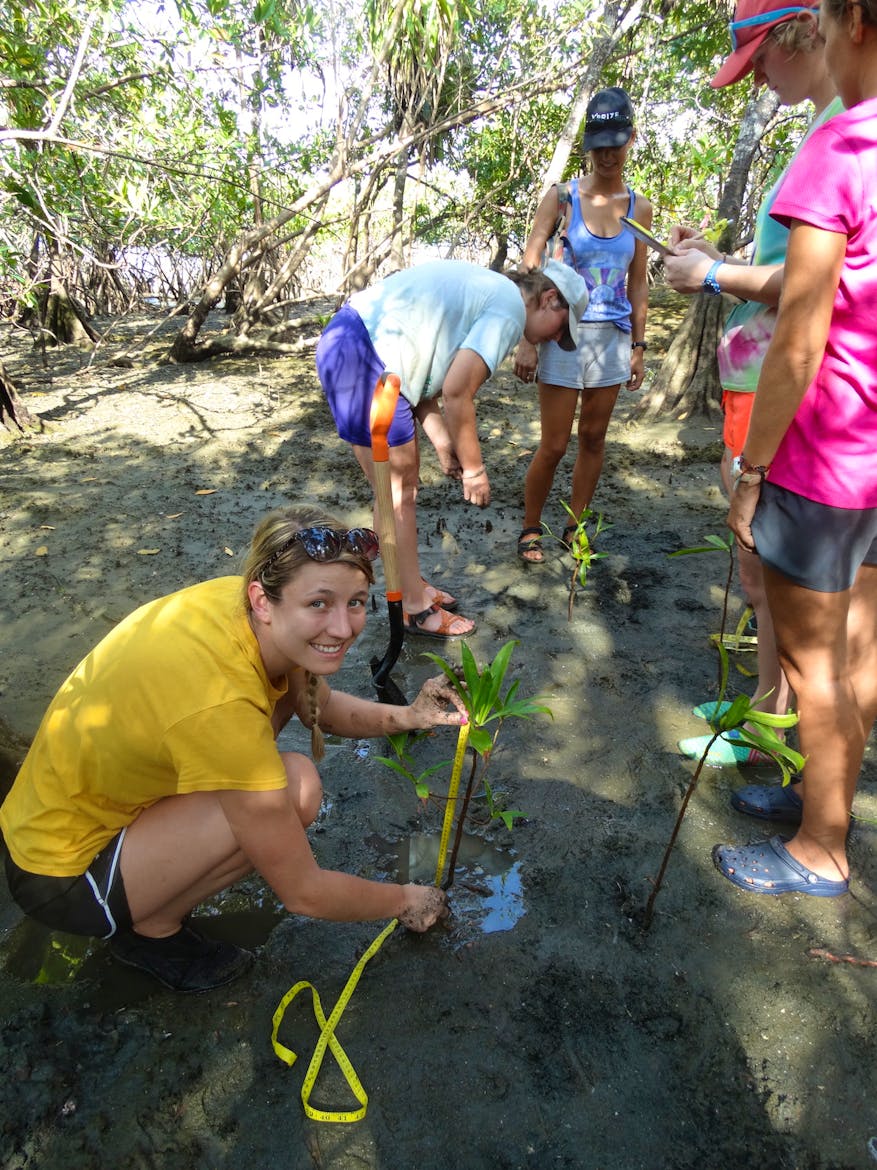 Sea Turtle Guardian | Volunteer in Costa Rica 2024