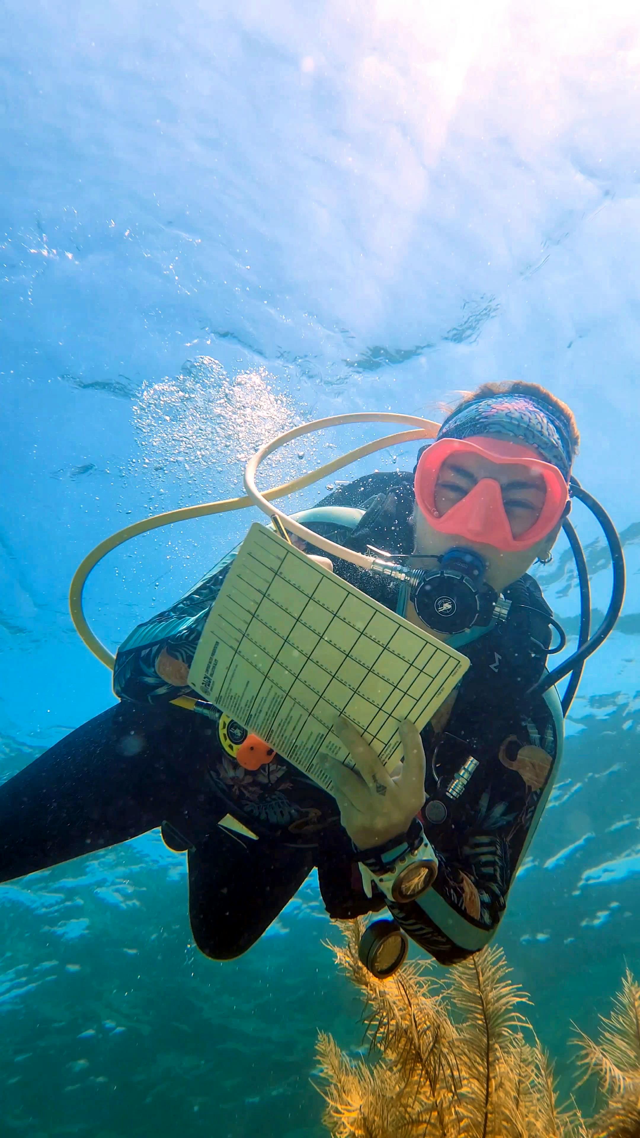 Ankay Conservation | Volunteer Abroad 2025 | Volunteer World