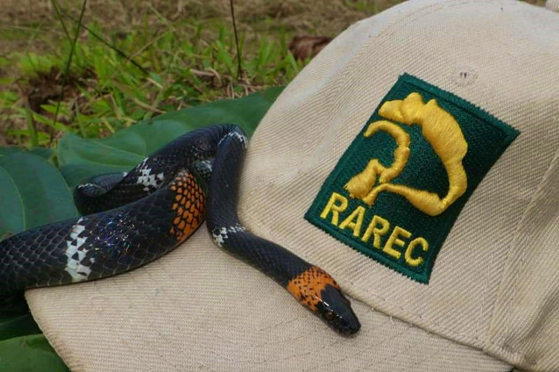 Wildlife Caretaker | Volunteer in Peru 2022