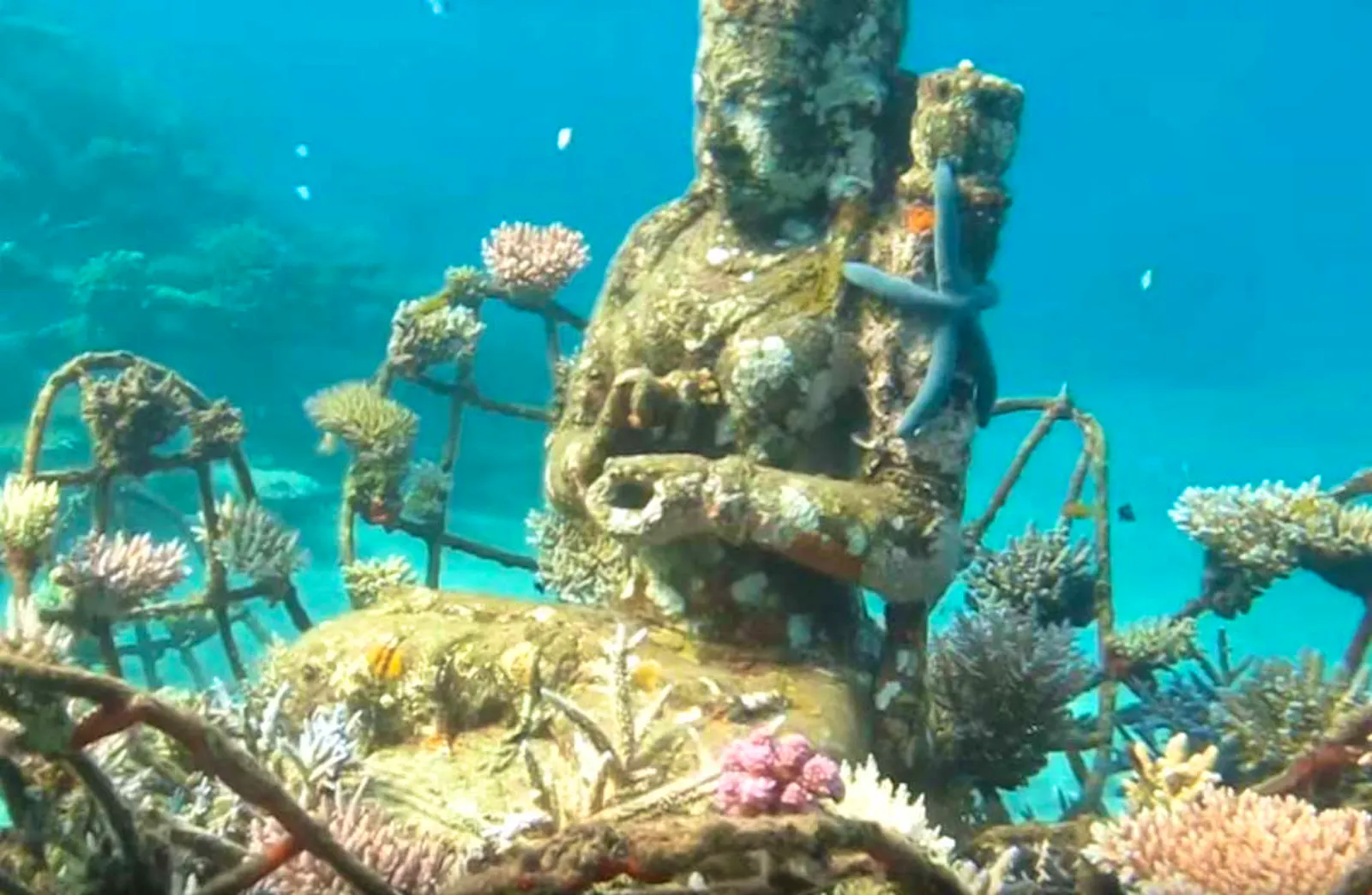 Scuba Dive & Coral Reef Restoration | Volunteer in Indonesia 2025