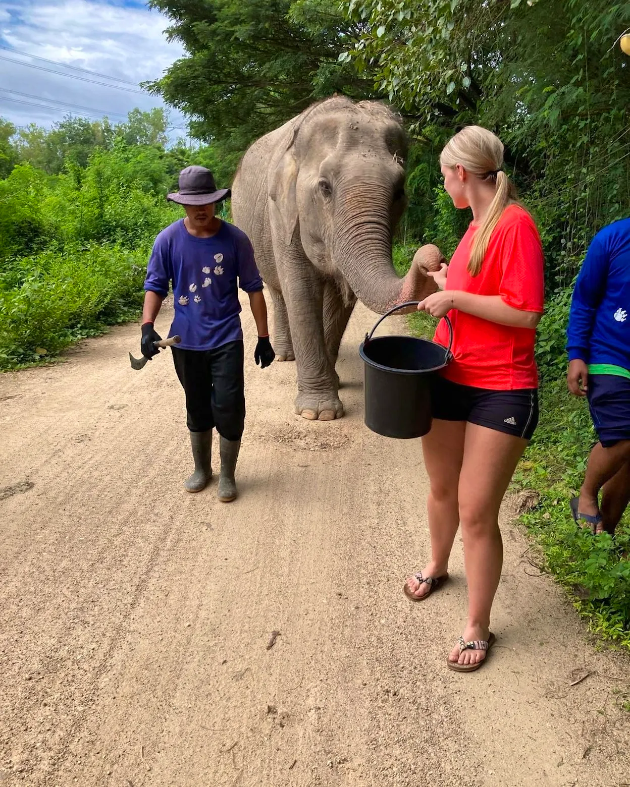 Thailand Elephant Volunteers | Volunteer in Thailand 2025
