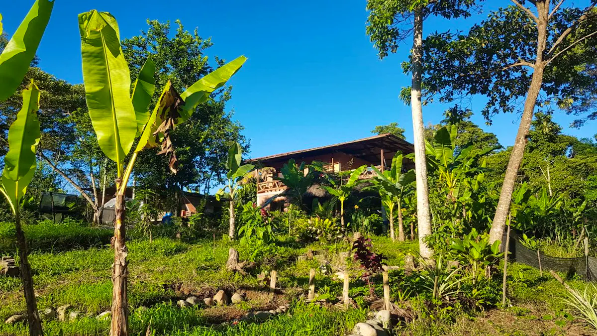 Organic Farming and Tropical Conservation | Volunteer in Ecuador 2025