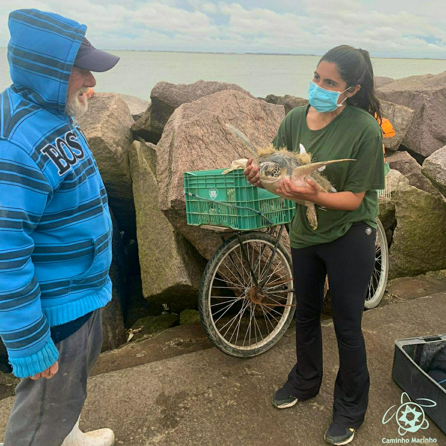 In-Water Sea turtle Conservation | Volunteer in Brazil 2024