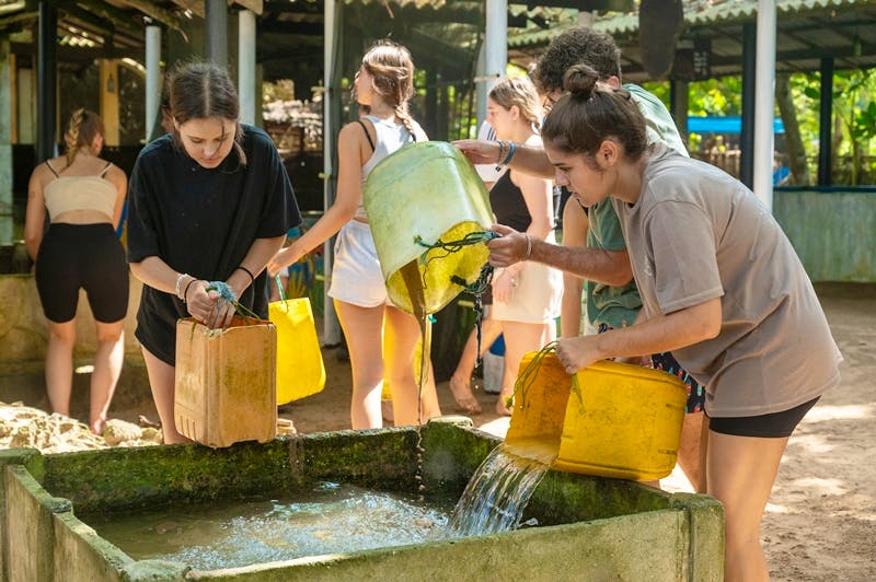 Support the Sea Turtle Ecosystem | Volunteer in Sri Lanka 2025