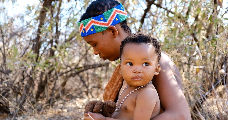 Harnas Wildlife Sanctuary | Doe vrijwilligerswerk in Namibië 2025
