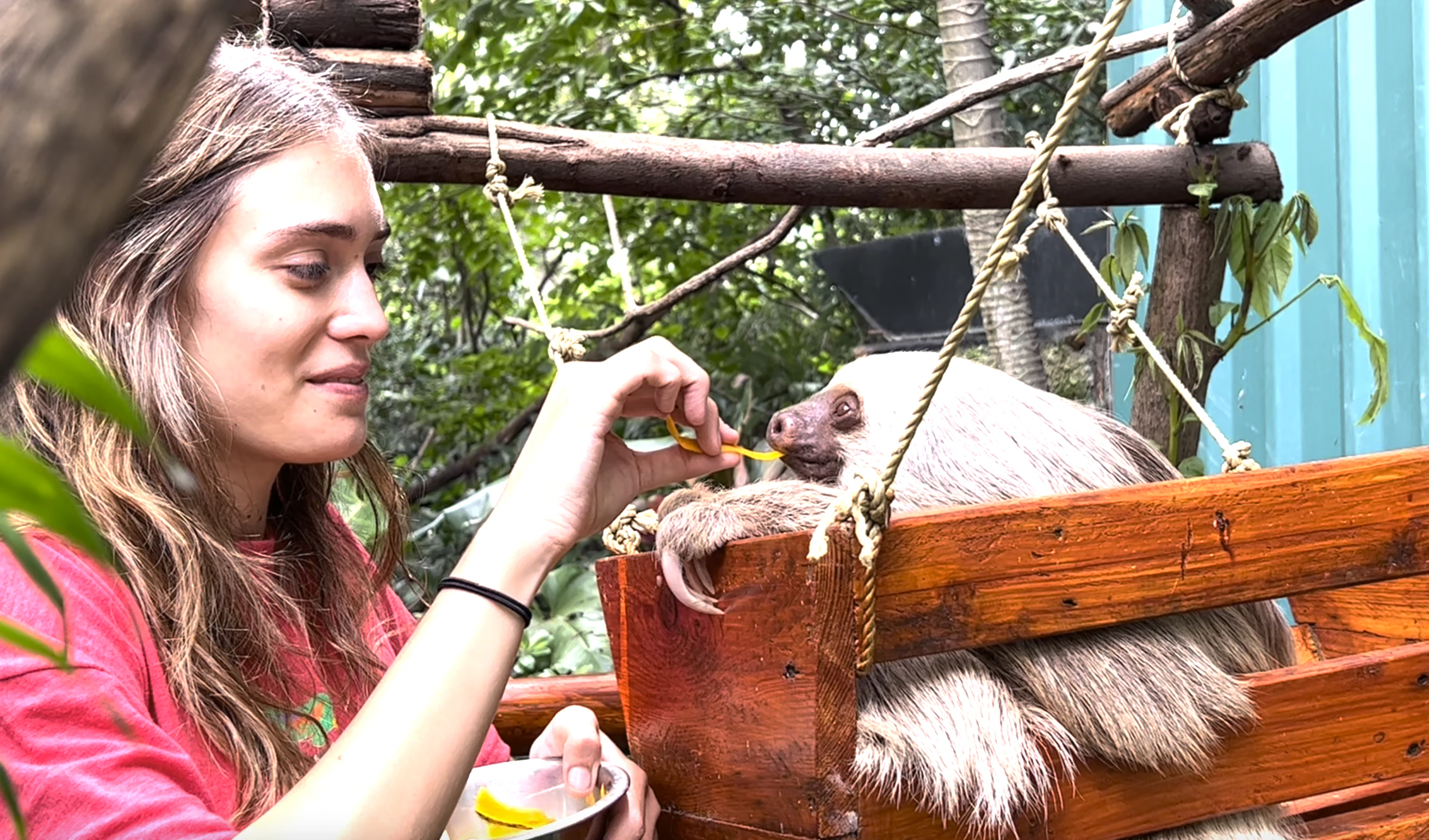 Animal Keeper Assistant | Volunteer in Costa Rica 2025
