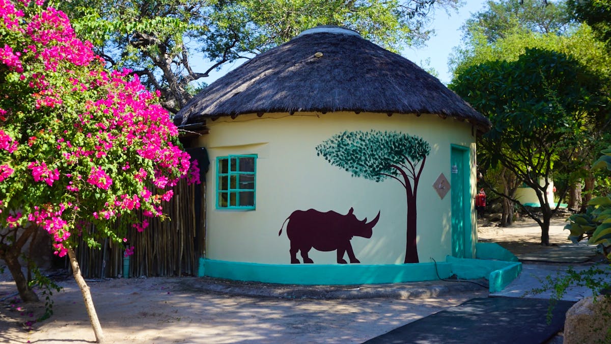 Wildlife Orphanage Animal Manager | Volunteer in South Africa 2025