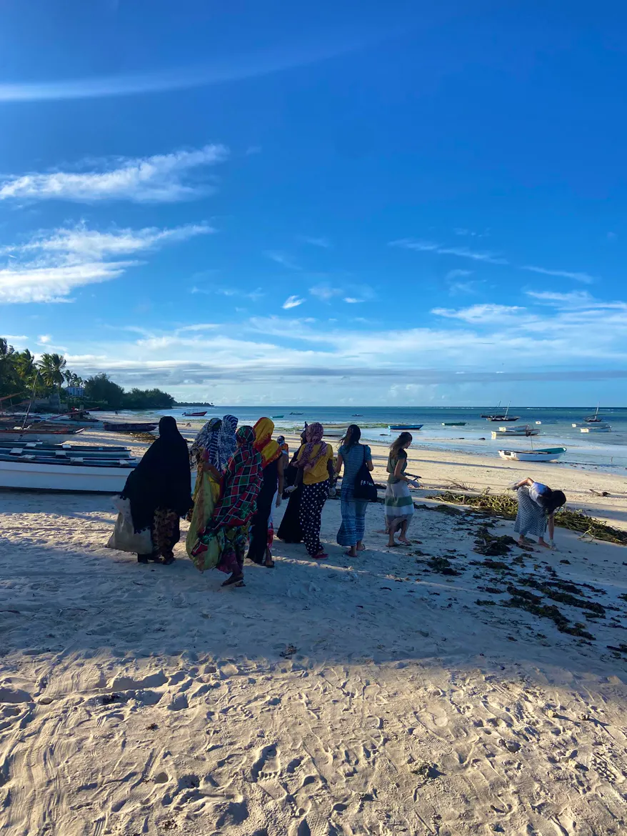 Environmental Conservation Assistant | Volunteer in Tanzania 2025