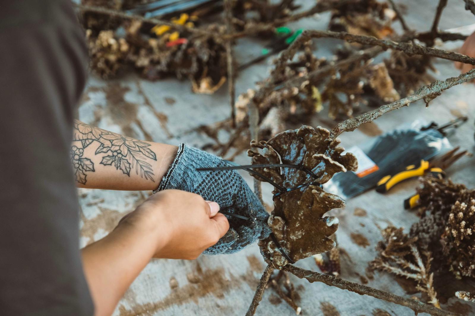 Reef Restoration Internship | Volunteer in Indonesia 2025