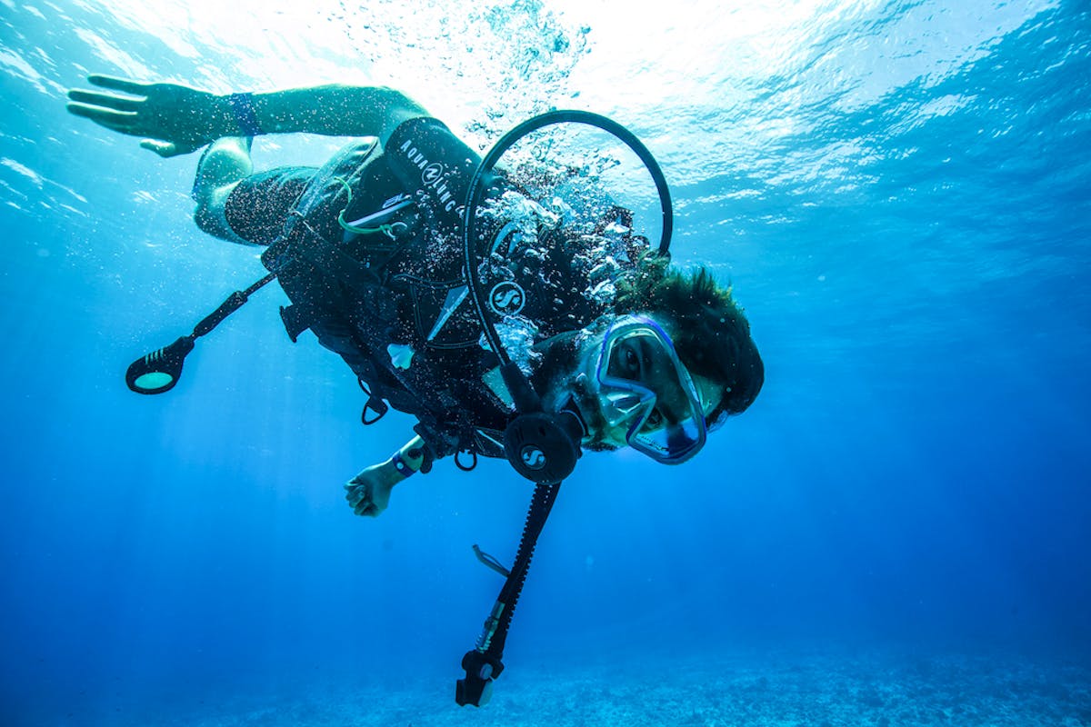 Dolphin behavior and conservation | Volunteer in French Polynesia 2025