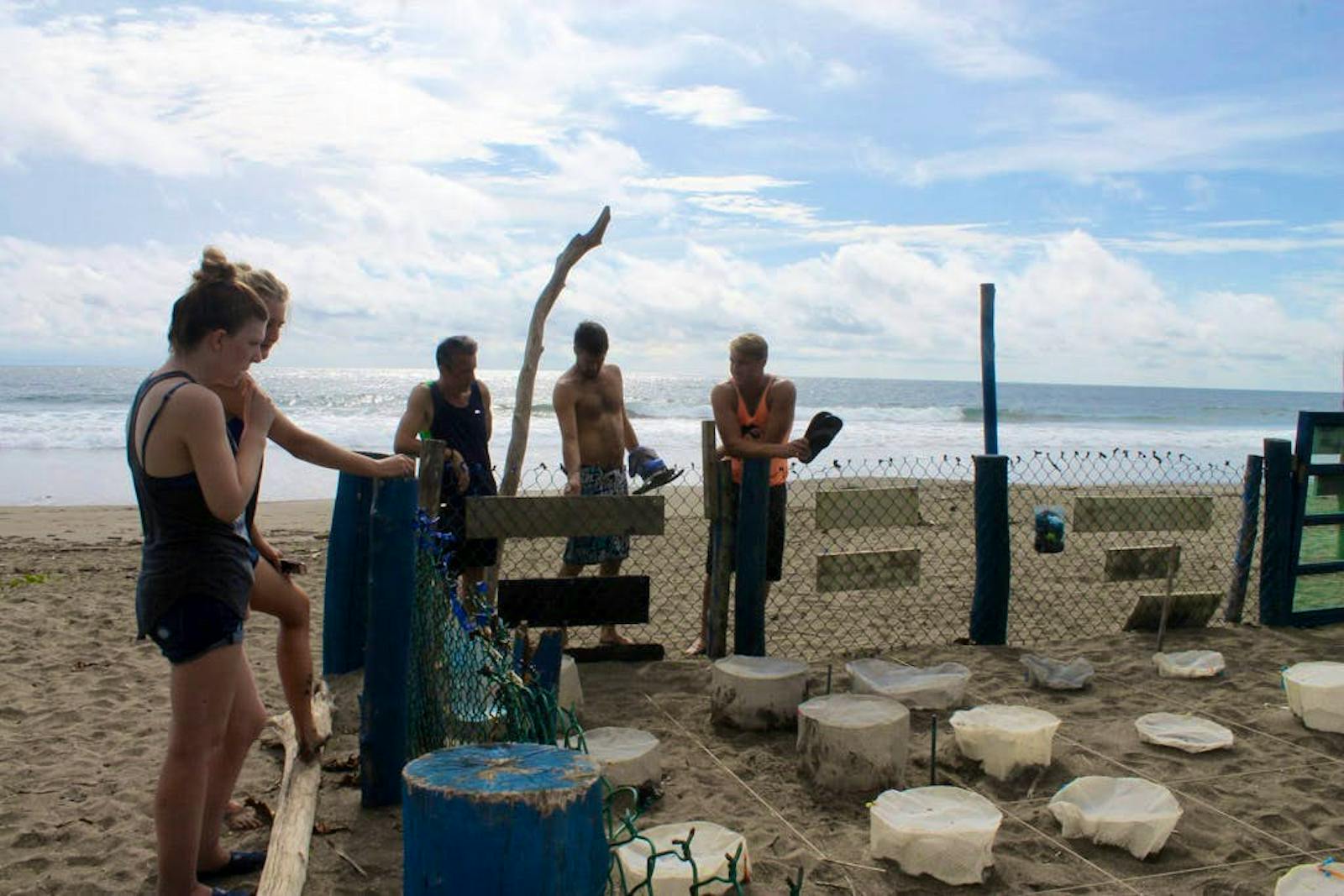 Turtle Conservation Management | Volunteer in Costa Rica 2025