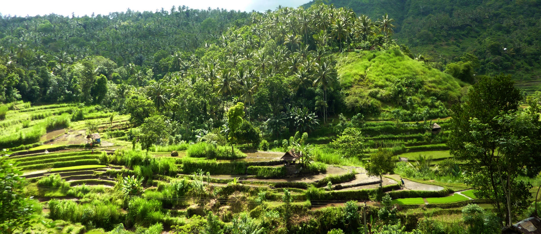 Implementing Sustainable Environmental Initiatives | Volunteer in ...