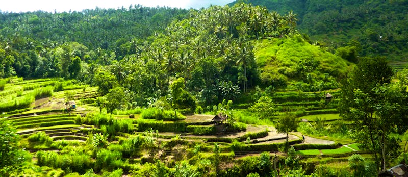 Implementing Sustainable Environmental Initiatives | Volunteer in ...