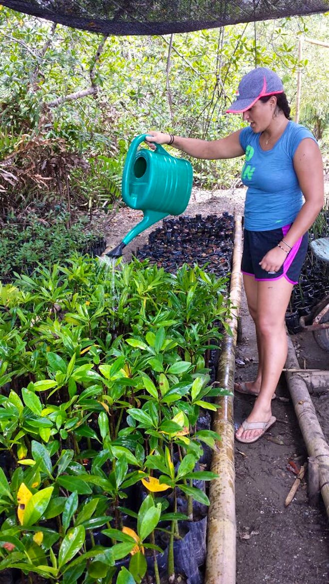 Sea Turtle Guardian | Volunteer in Costa Rica 2024