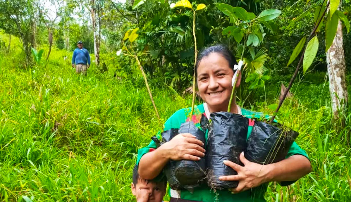 Organic Farming and Tropical Conservation | Volunteer in Ecuador 2025