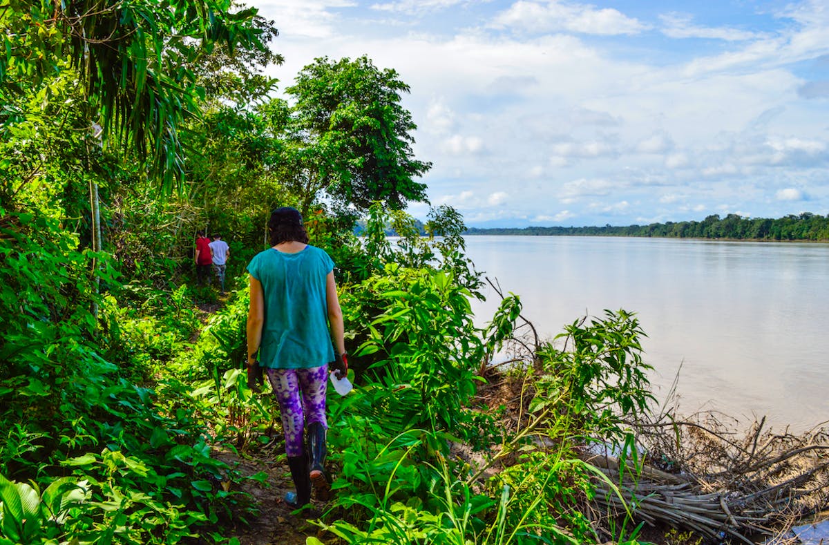 Peruvian Amazon Conservation & Reforestation | Volunteer in Peru 2025