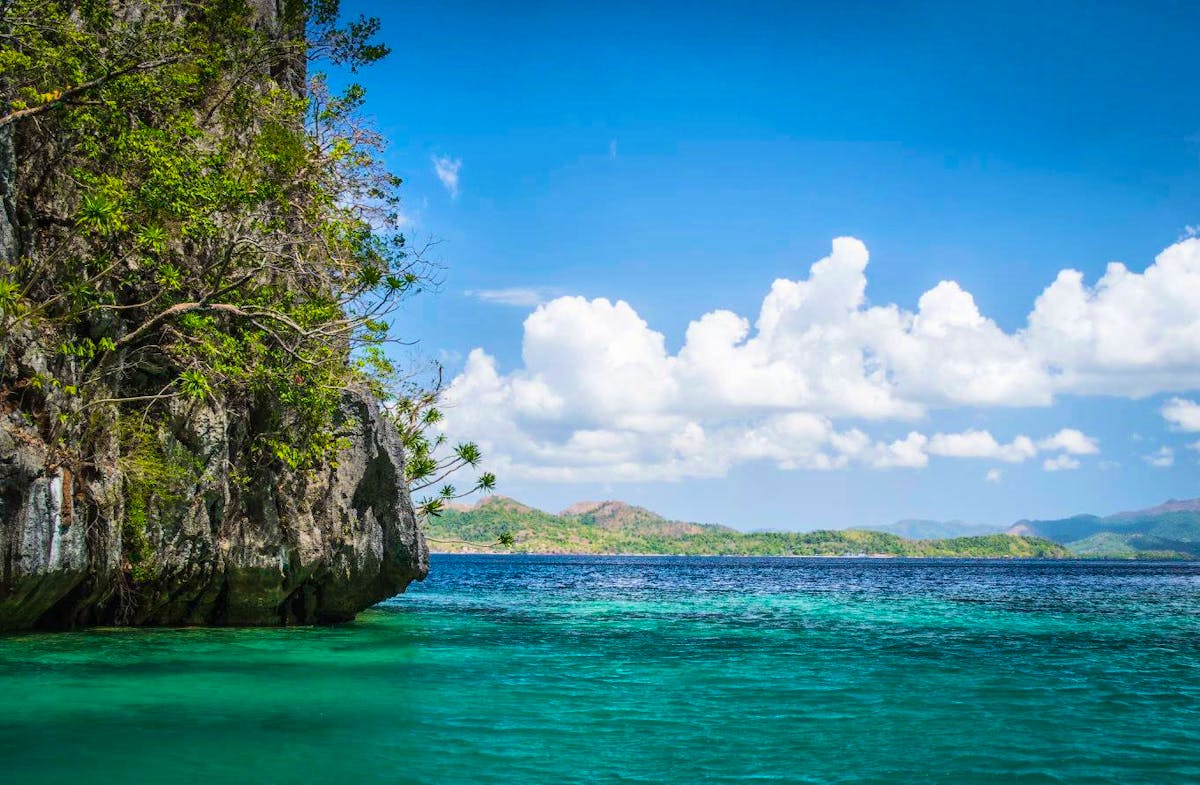 Environmental Conservationist | Volunteer in the Philippines 2025