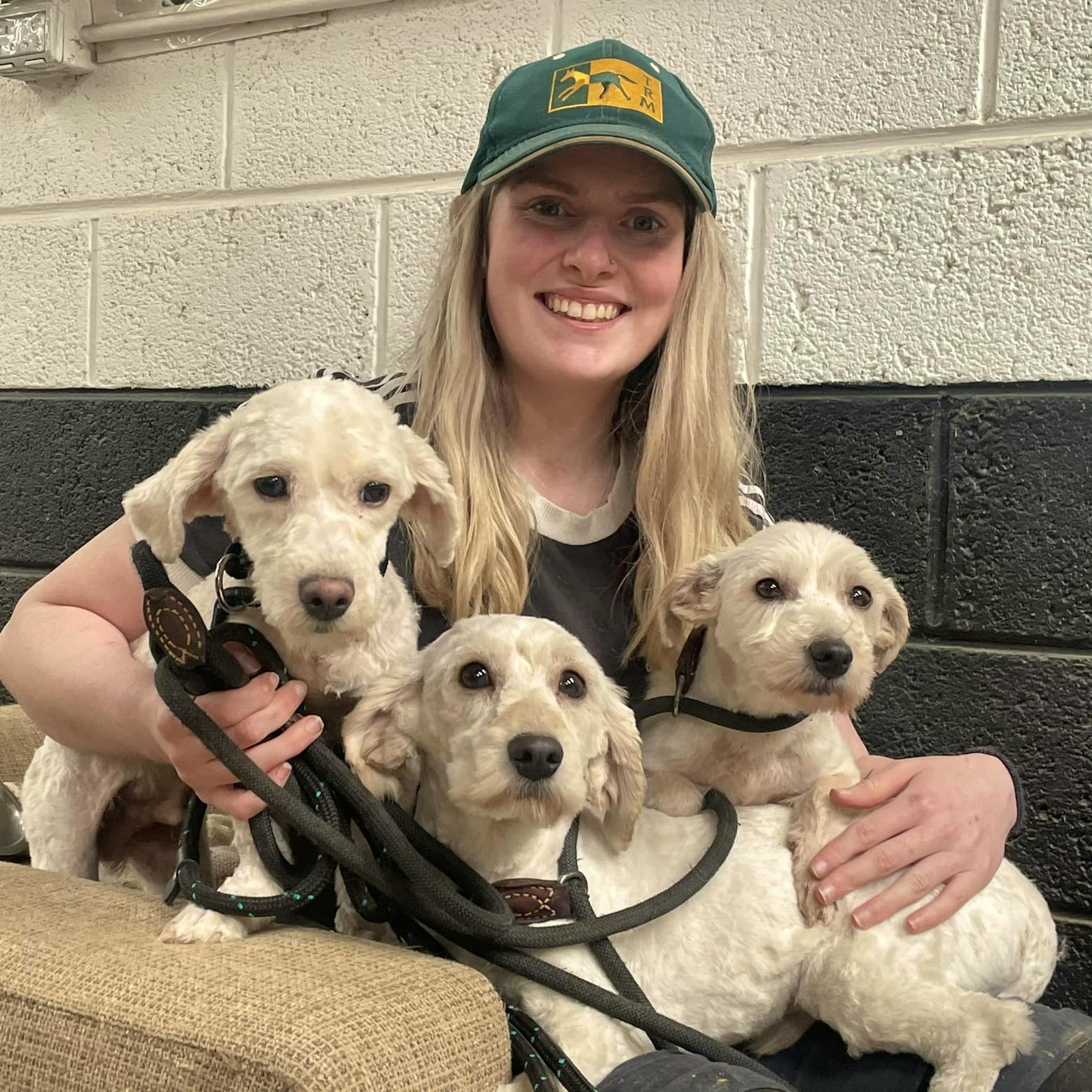 Animal Rescue & Community Development Helper | Volunteer in Ireland 2025