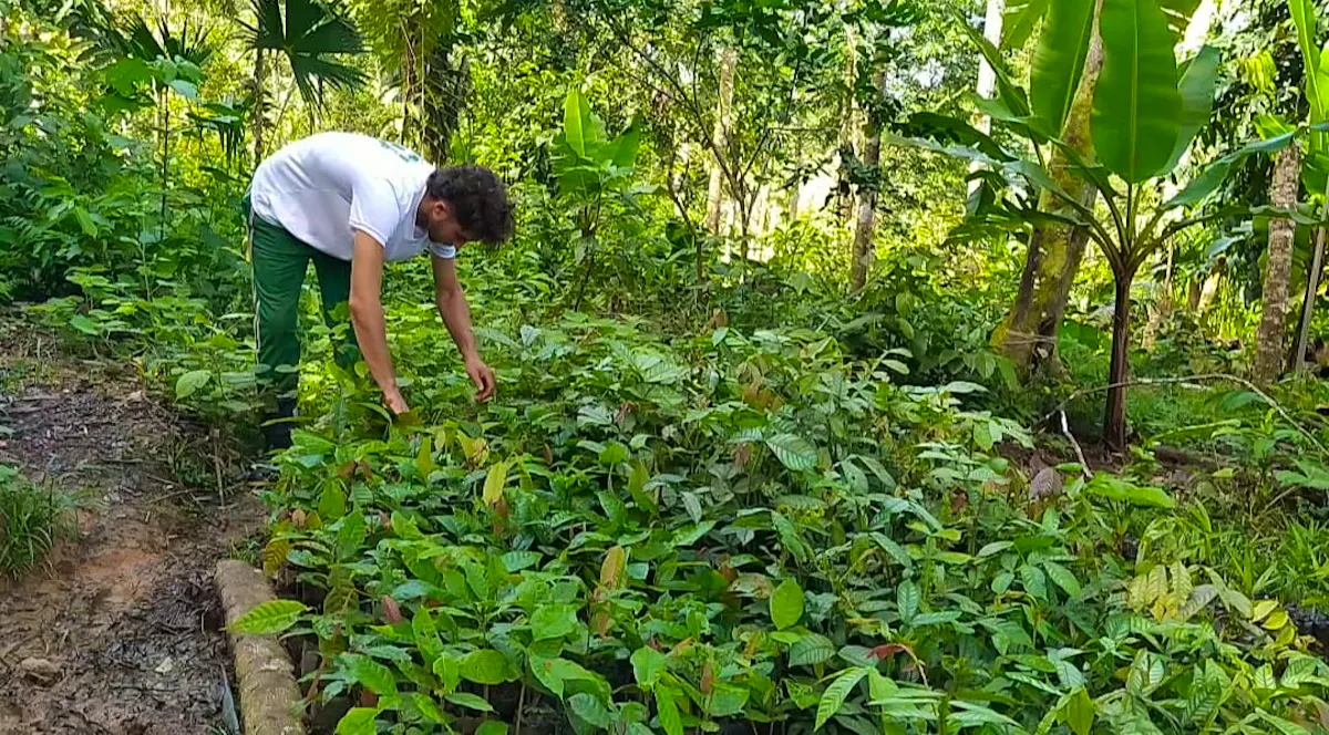 Organic Farming and Tropical Conservation | Volunteer in Ecuador 2025