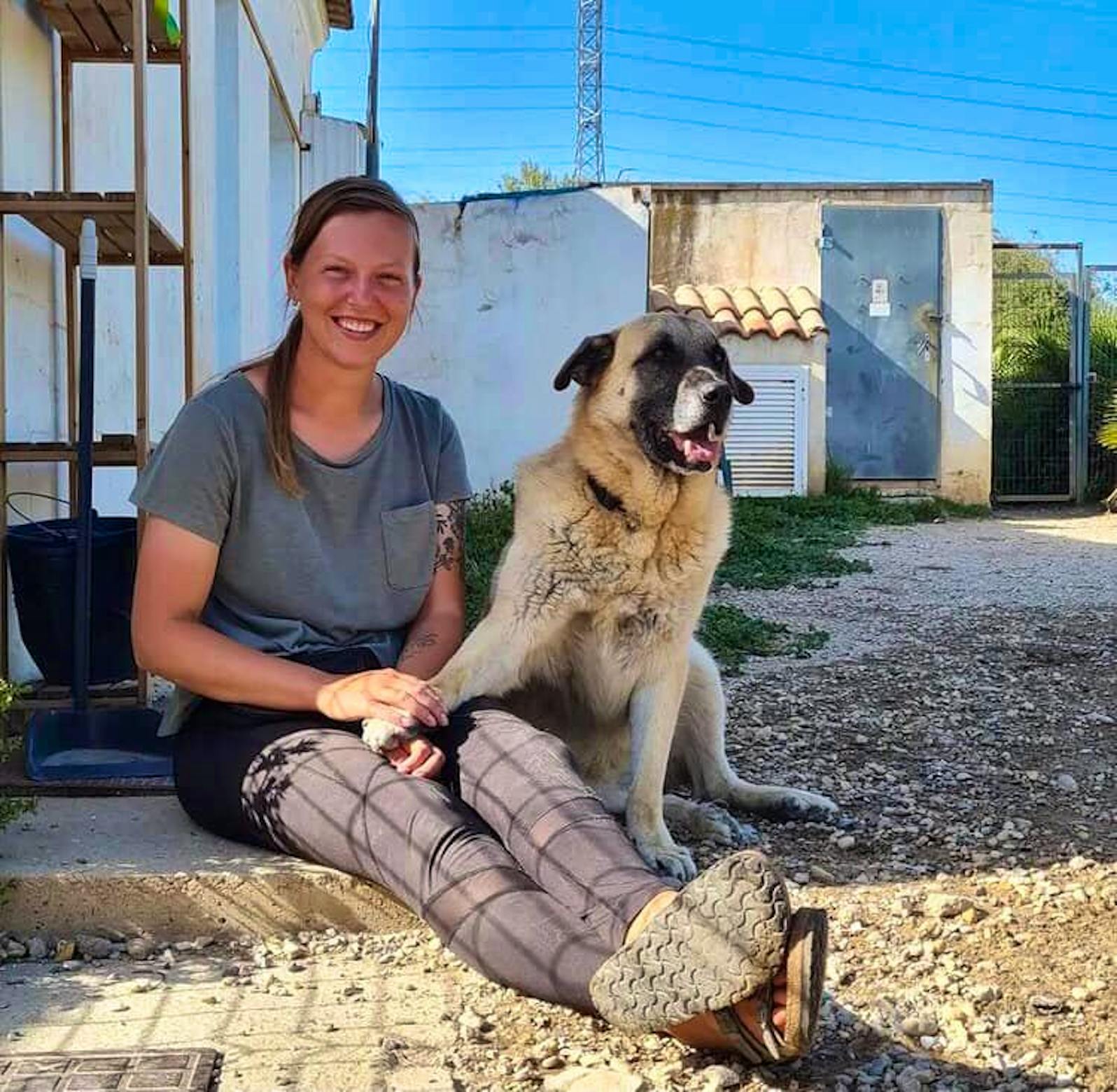 Dog and Cat Shelter Supporter | Volunteer in Spain 2025