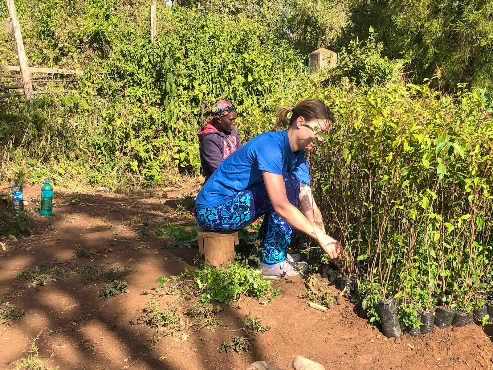 Wildlife Conservation & Tracking | Volunteer in Kenya 2025