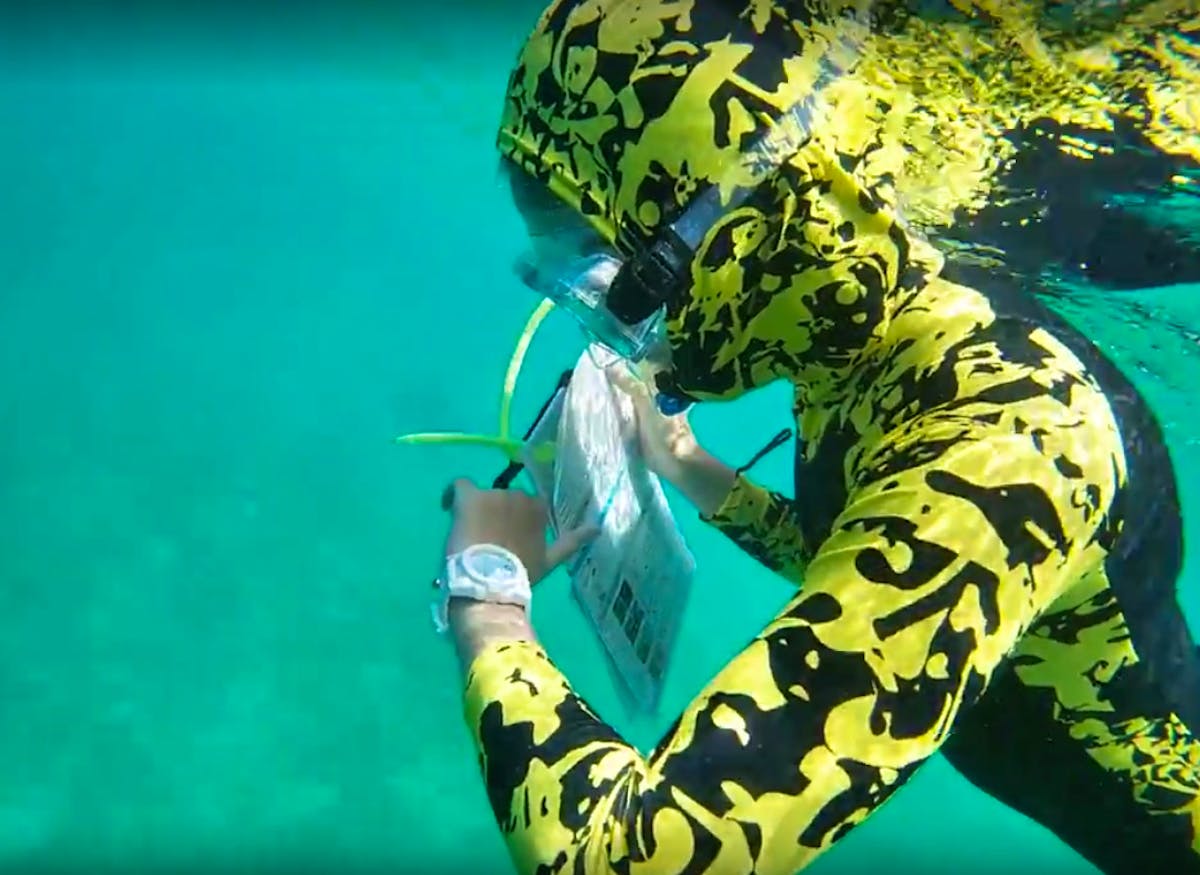 Great Barrier Reef Marine Conservation | Volunteer in Australia 2025