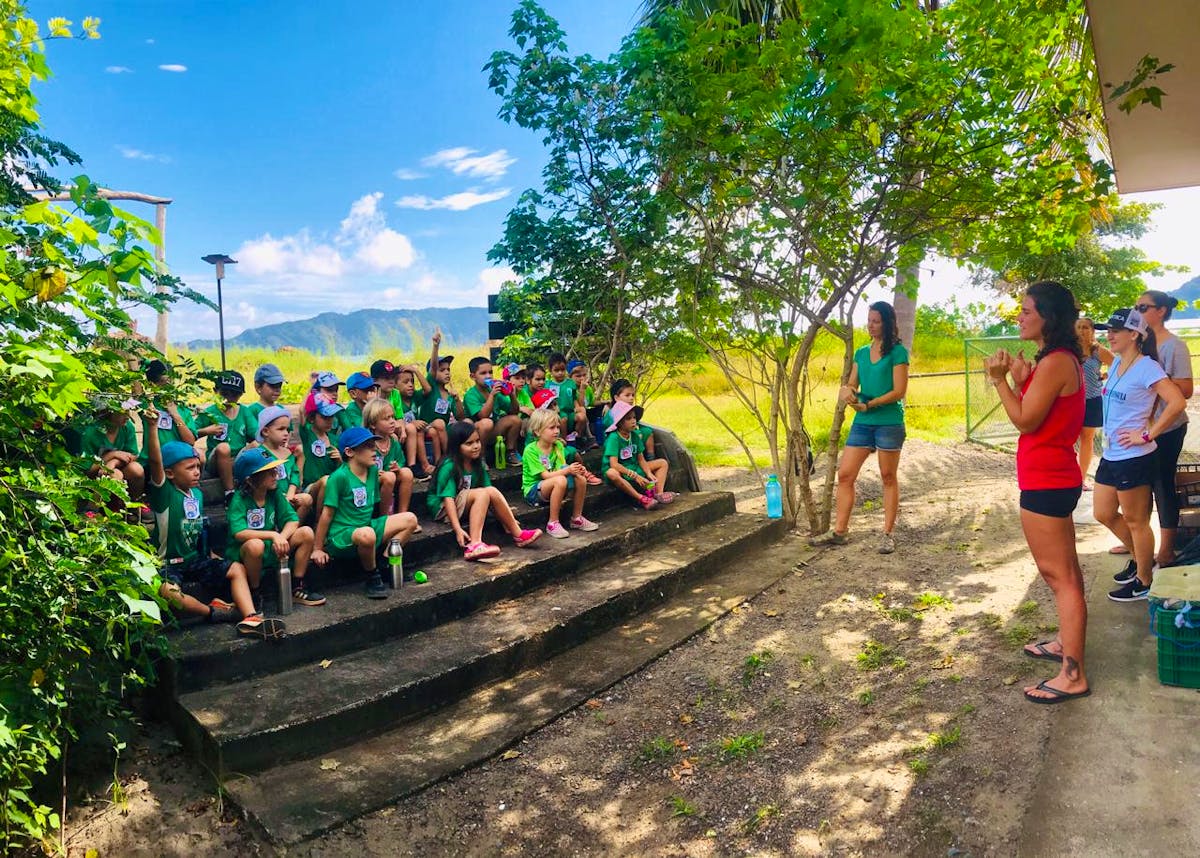 Tambor Bay Olive Ridley Sea Turtle Conservation | Voluntariado en Costa ...