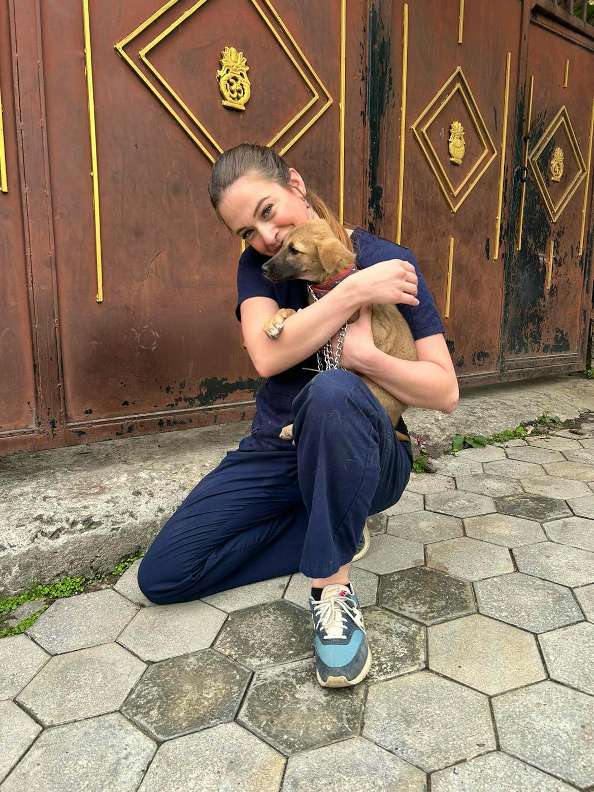 Para-Veterinary Worker | Volunteer in Nepal 2025