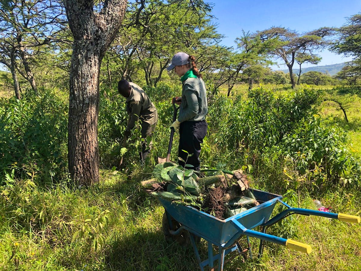 Environmental and Climate Change Conservation | Volunteer in Kenya 2025