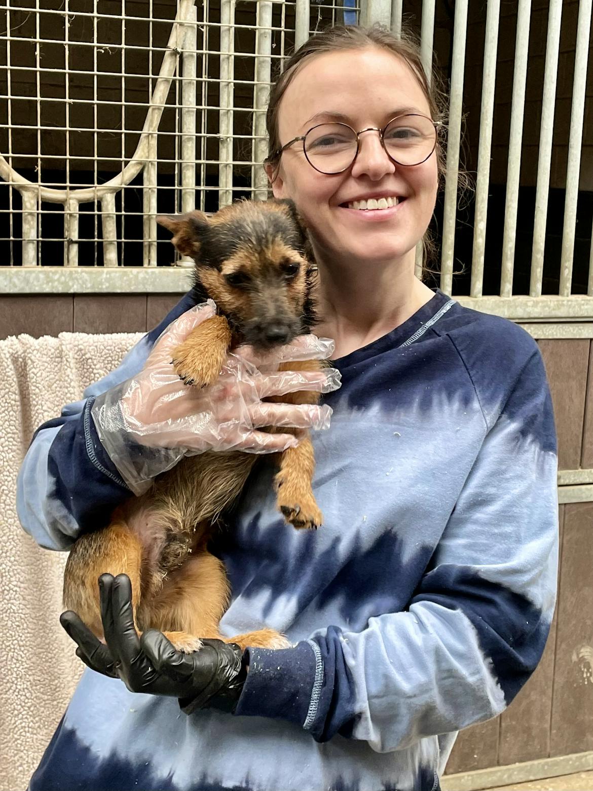 Animal Rescue & Community Development Helper | Volunteer in Ireland 2025