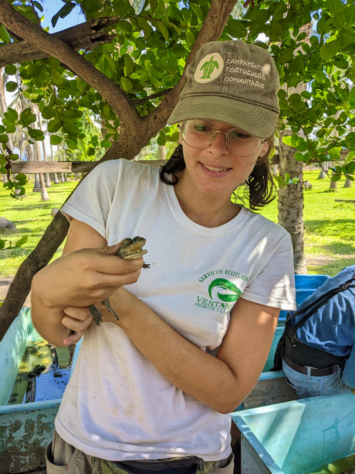 Turtle Conservation Supporter | Volunteer in Mexico 2025
