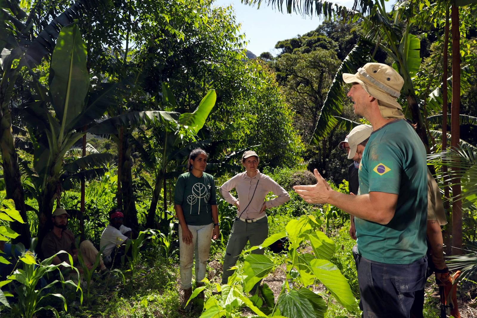Agroforestry & Sintropic Agriculture Assistant | Volunteer in Brazil 2025