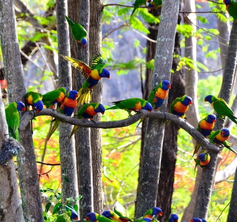 Zoo and Animal Caretaker | Volunteer in Australia 2025