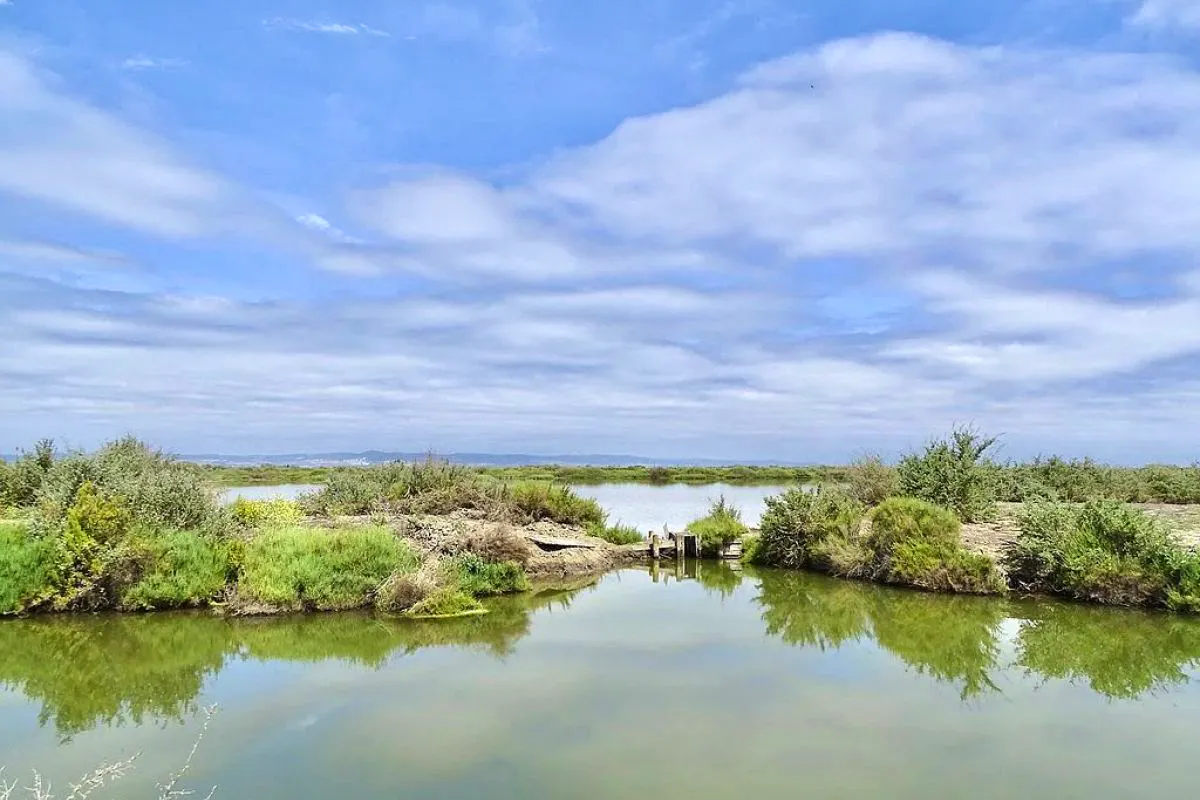 Environmental and Salt Flats Conservation | Volunteer in Portugal 2025