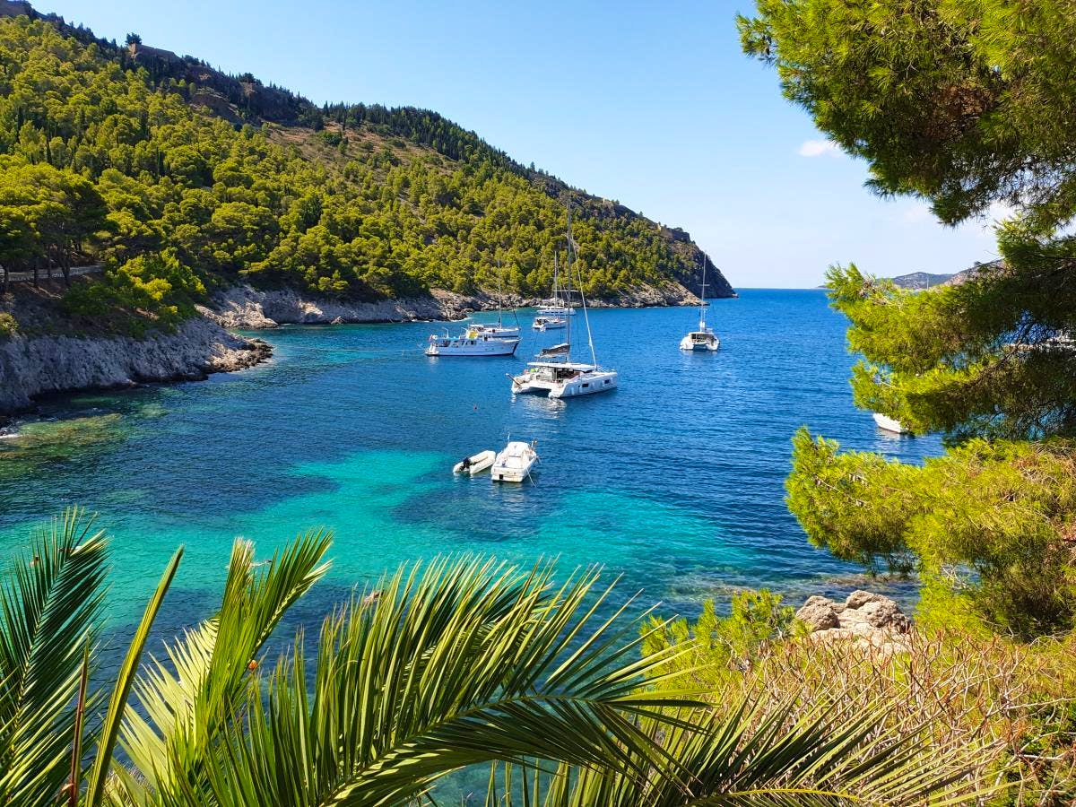 Greece Turtle Conservation Volunteers | Volunteer in Greece 2025