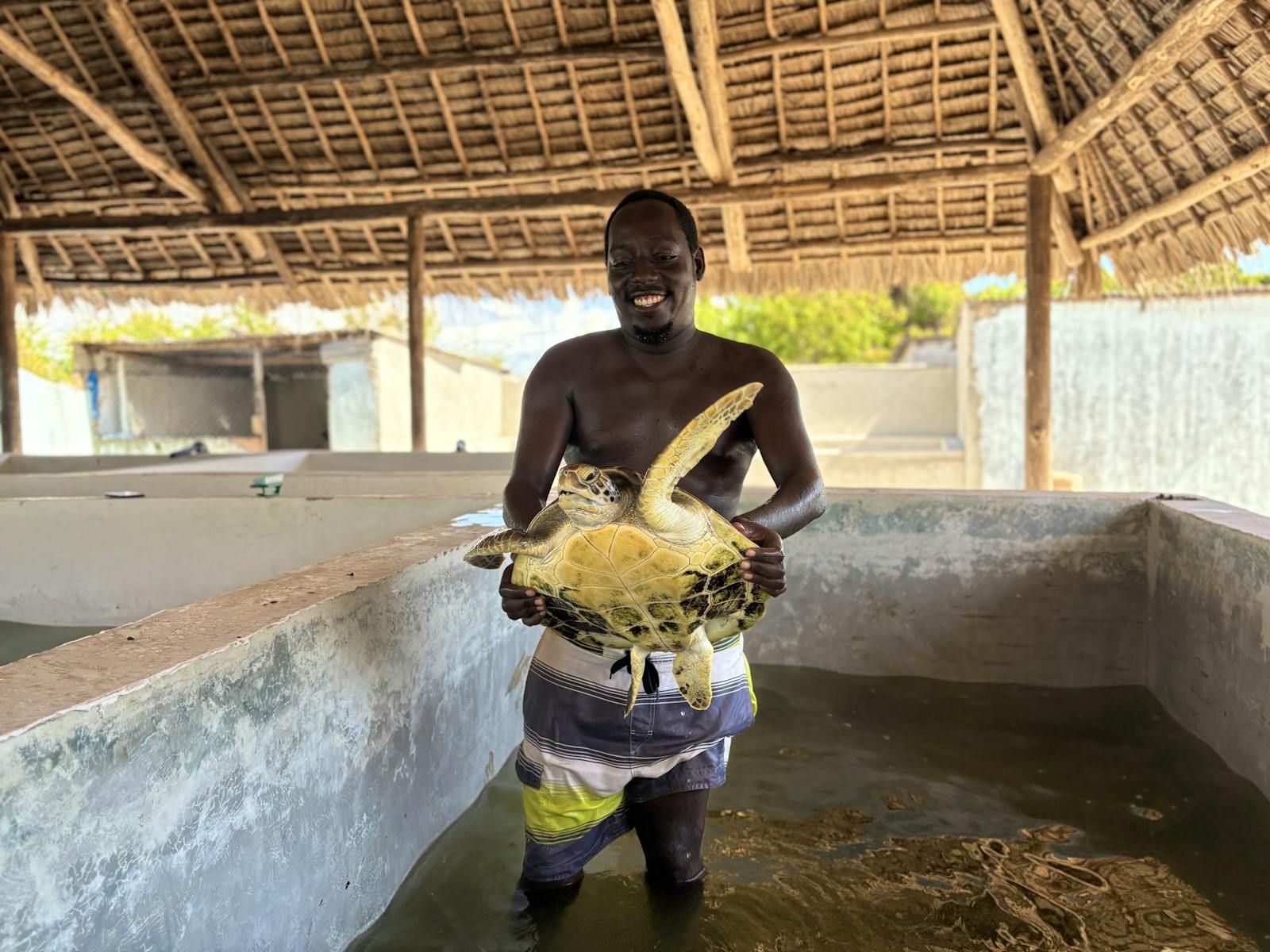 Endangered Sea Turtle Conservation | Volunteer in Tanzania 2025