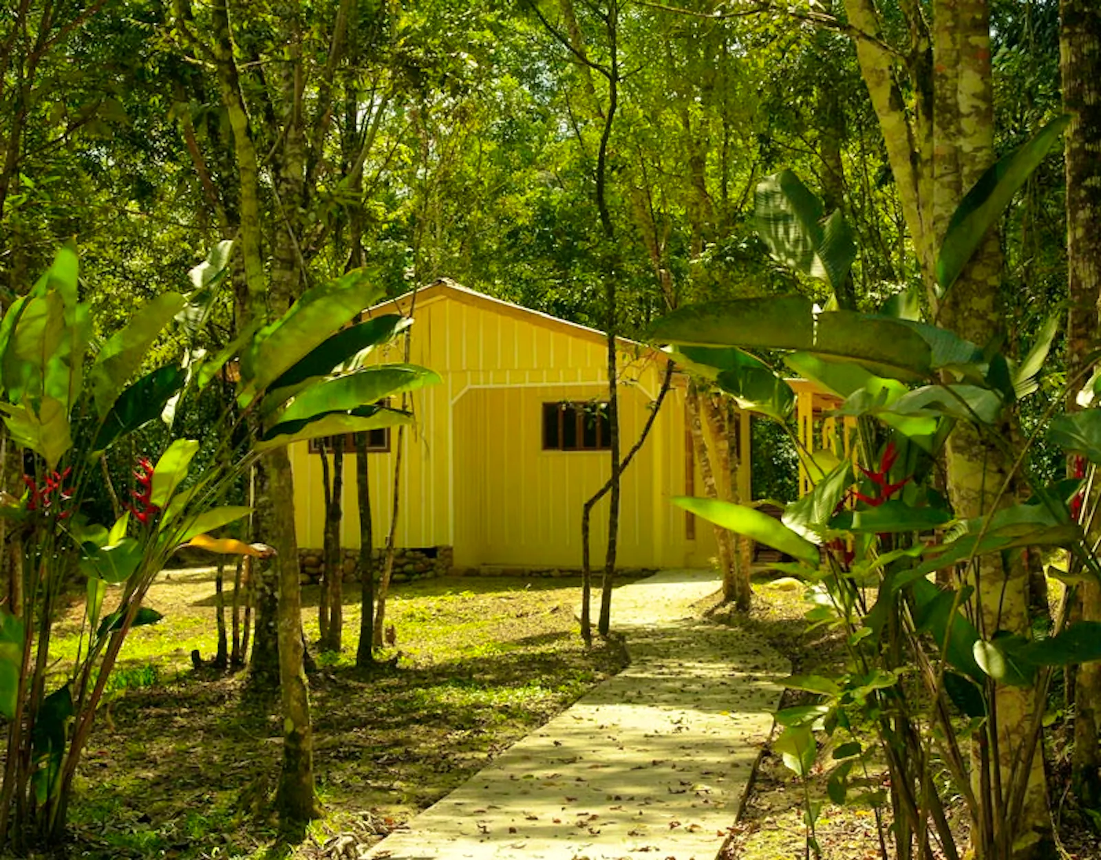 Amphibian Researcher | Volunteer in Brazil 2023