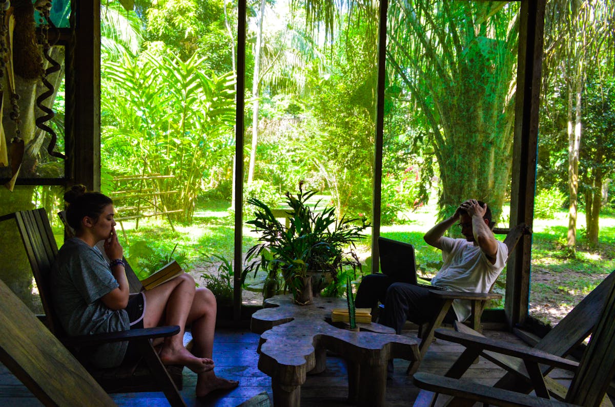 Peruvian Amazon Conservation & Reforestation | Volunteer in Peru 2025