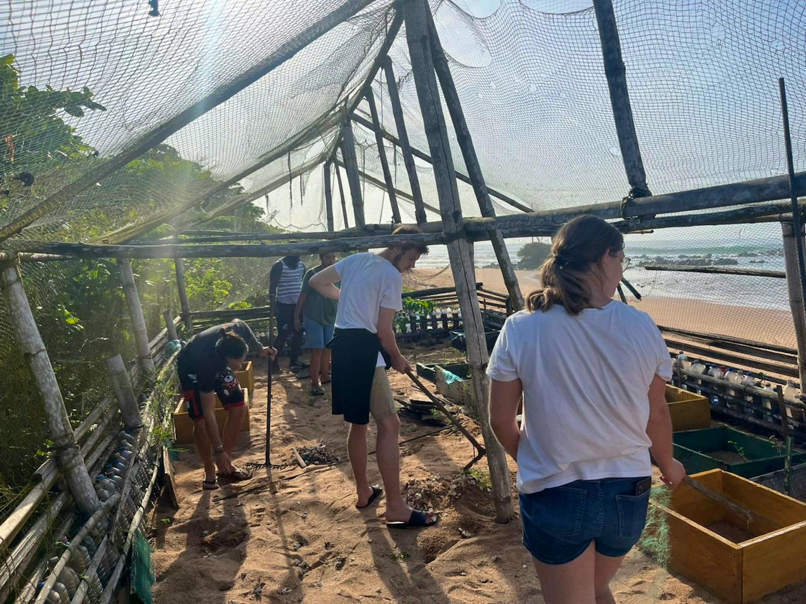 Sea Turtle Conservation | Volunteer in Ghana 2025