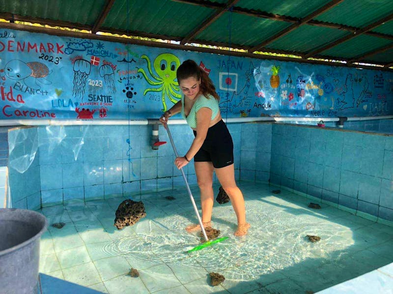 Turtle Conservation Assistance | Volunteer in Indonesia 2025