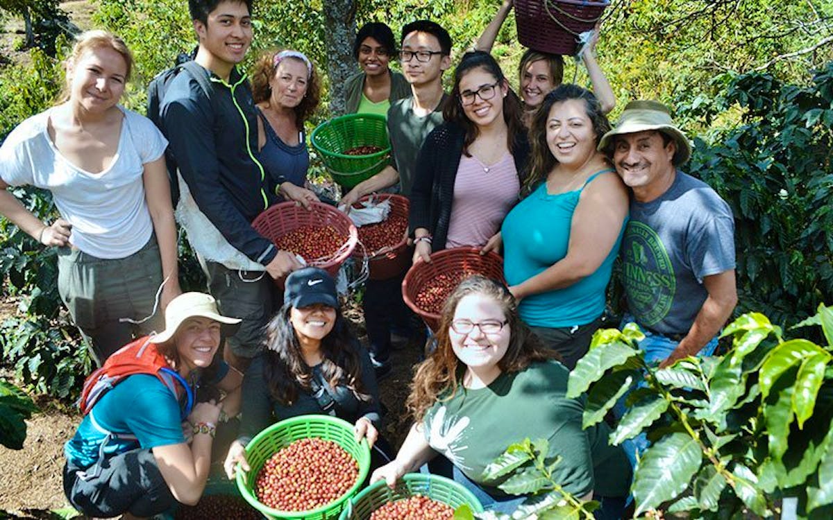 Support a Local Organic Farm | Volunteer in Peru 2025