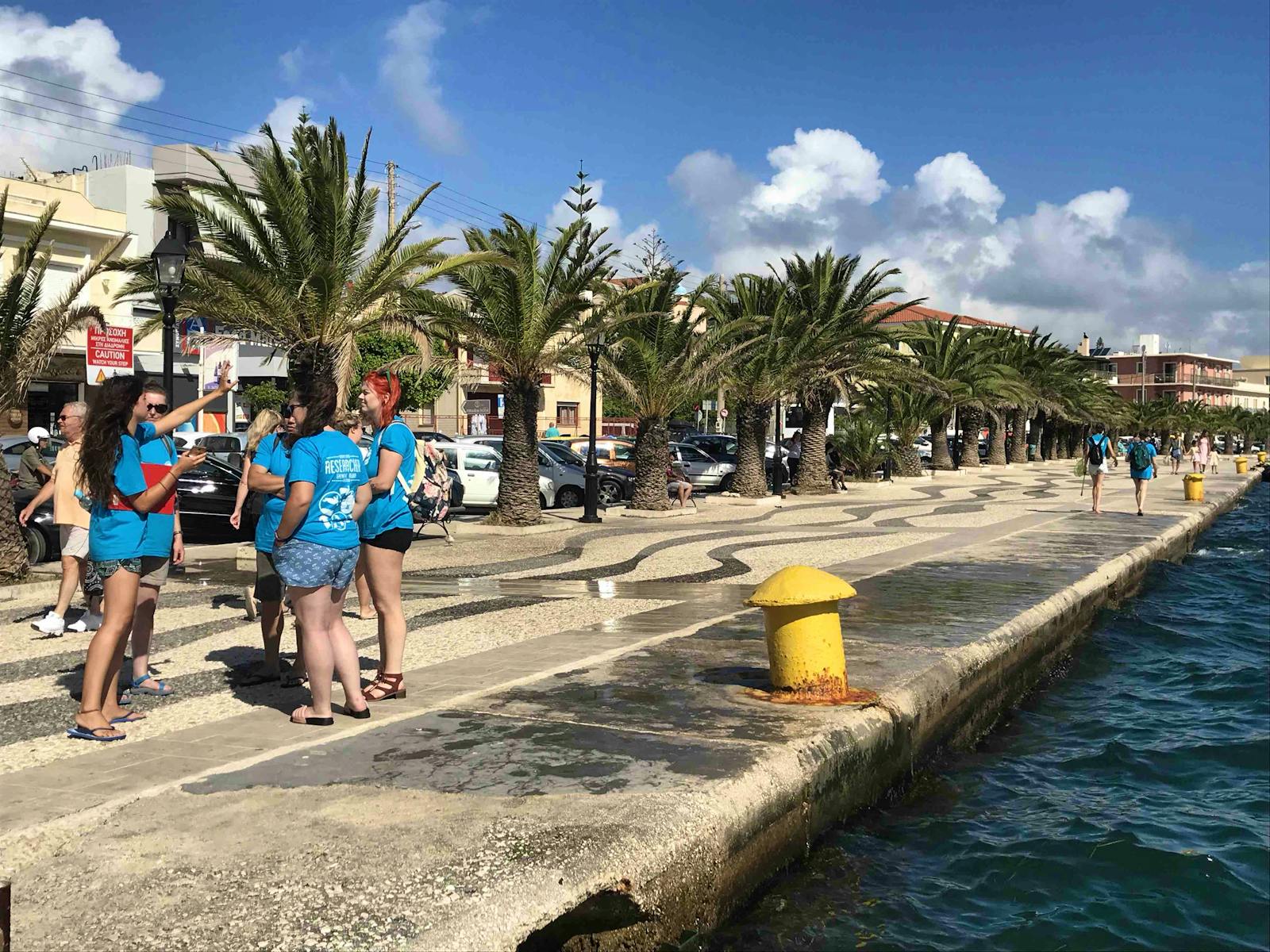 Greece Turtle Conservation Volunteers | Volunteer in Greece 2024