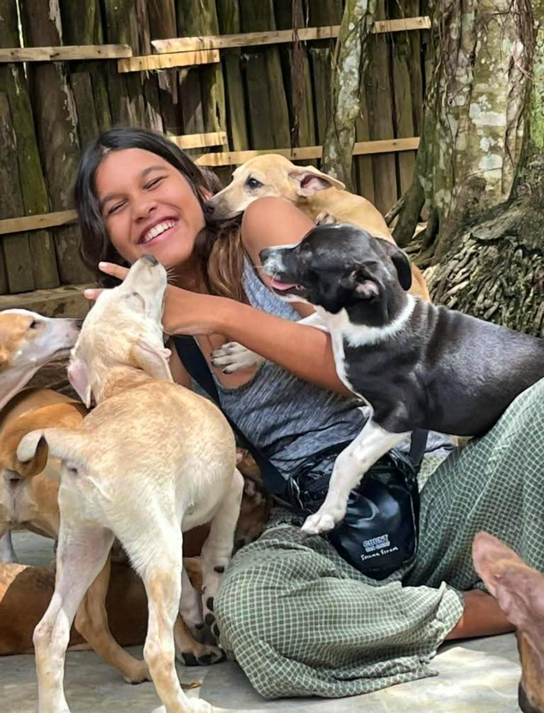 Protect and Care for stray dogs | Volontärarbete i Sri Lanka 2026