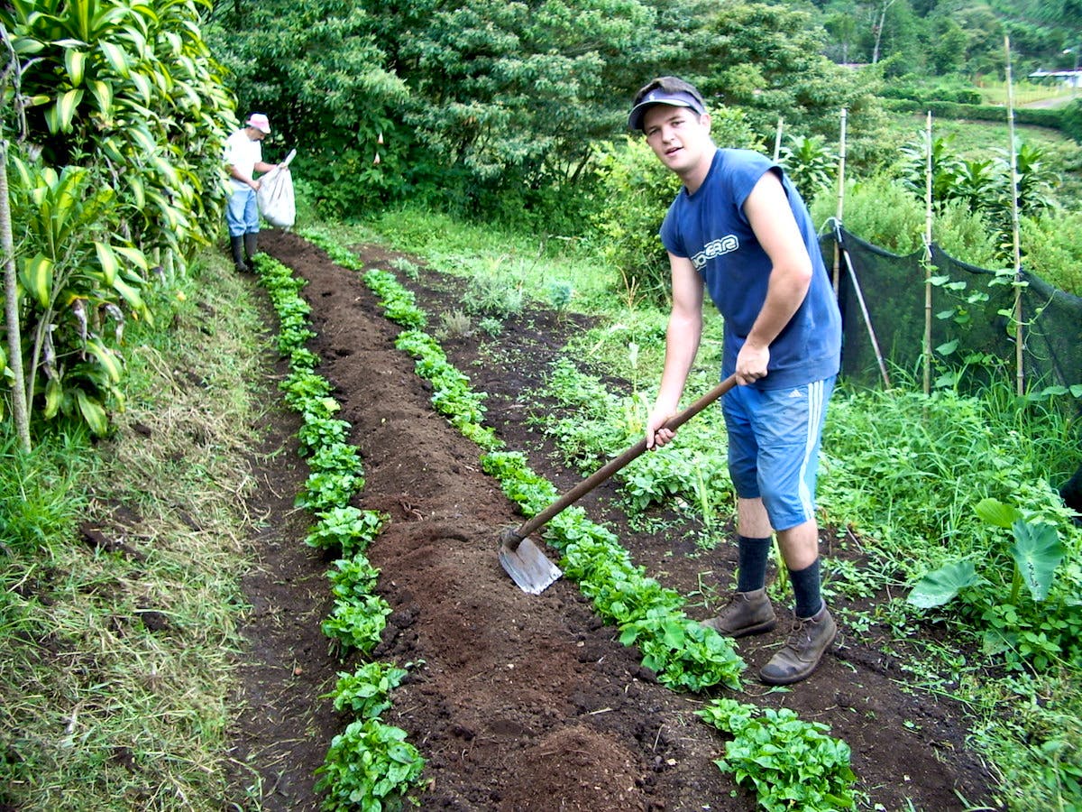 Agroecological Farming | Volunteer in Costa Rica 2025